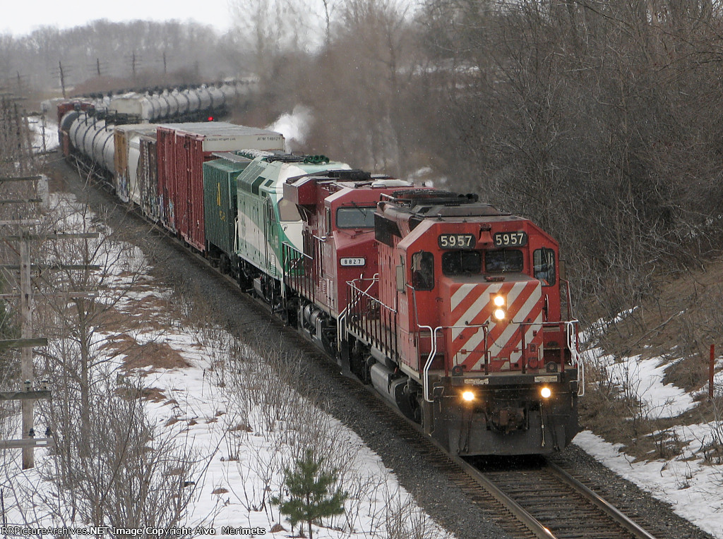 CP 242-17 at Lobo